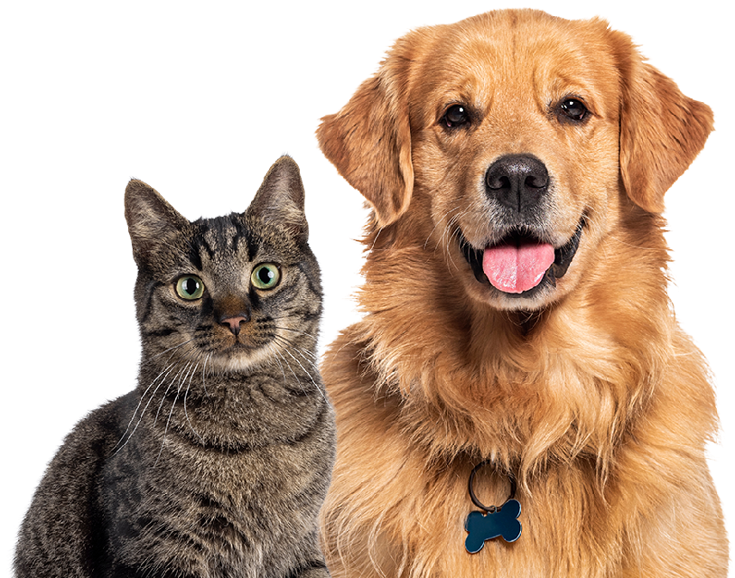 Pet Science